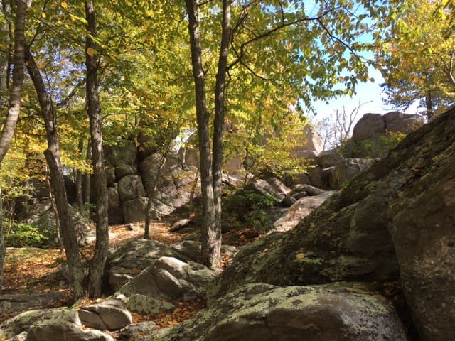 Hammonds Rocks Trail | Gardners, PA 17324