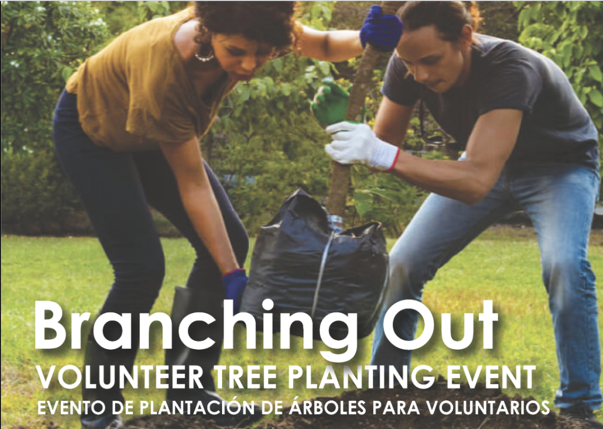 Branching Out Volunteer Tree Planting