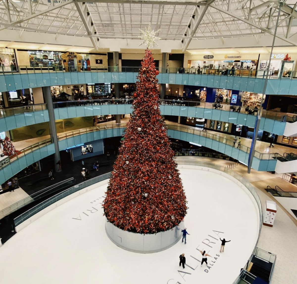 Grand Tree Lighting Celebration