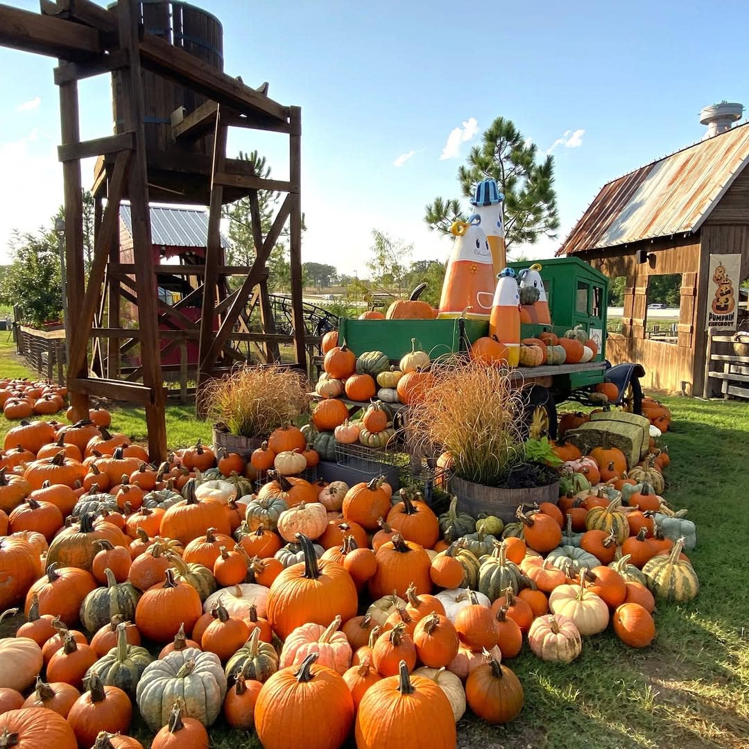 Yesterland Fall Festival & Spooktacular Nights 2025