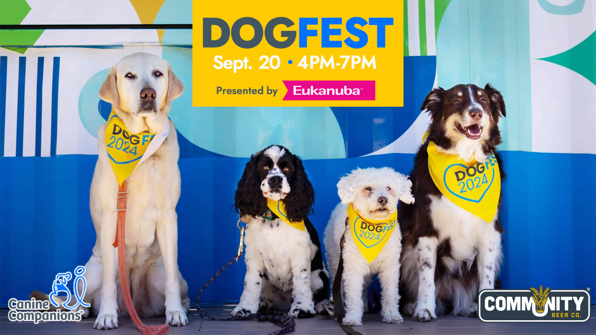 DogFest DFW 2025