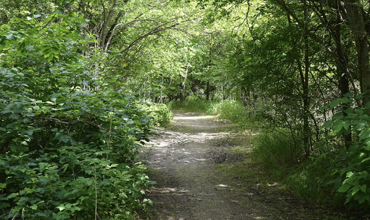 Hidden Cove Nature Trail