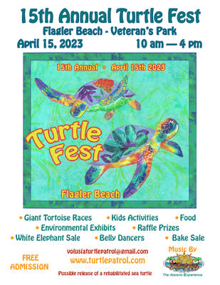 15th Annual Turtle Fest | Flagler Beach, FL 32136