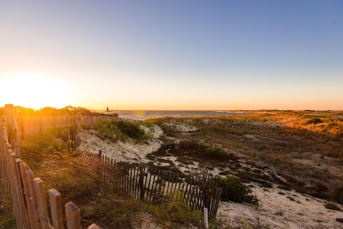 Cape Henlopen State Park and Campground