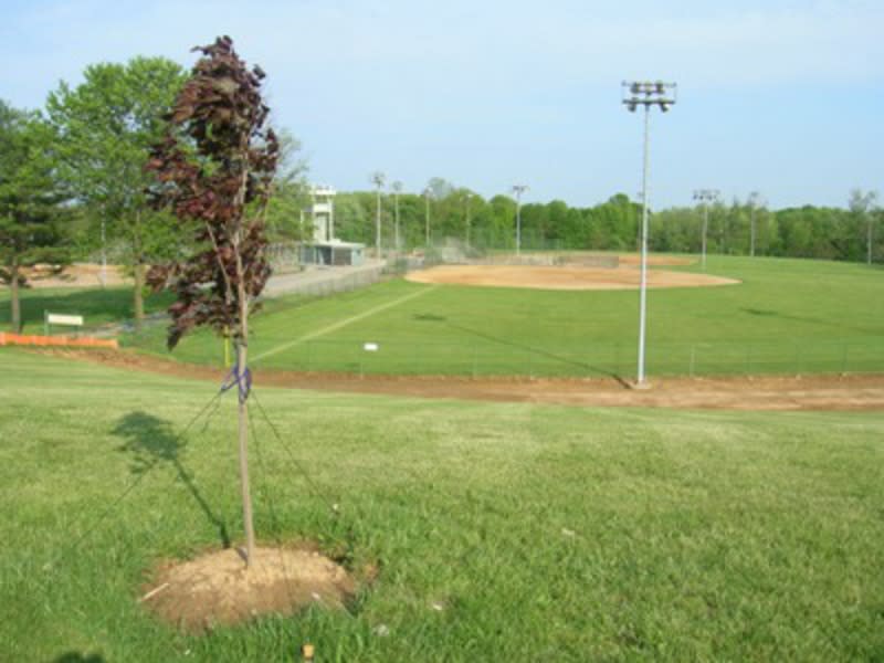 Delcastle Recreation Area