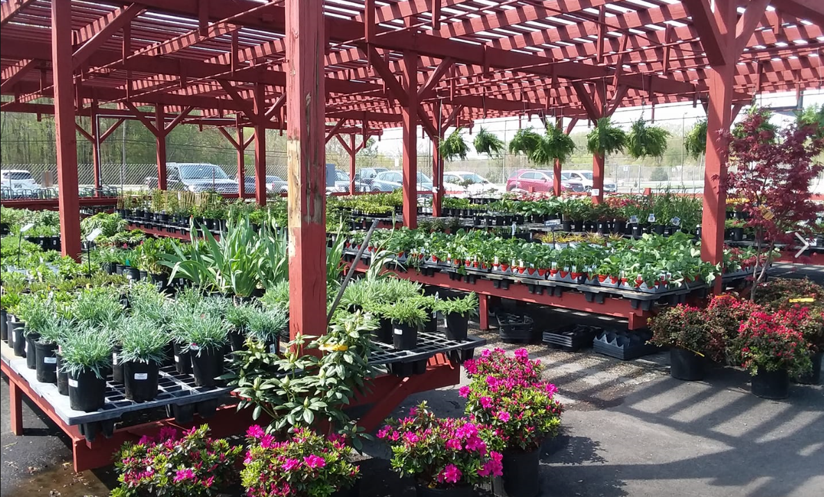 Willey Farms T & D Willey Farms | Farmers Emeritus, Sharing Knowledge
