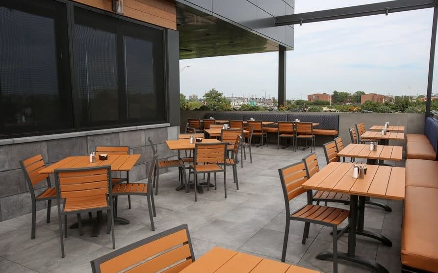 Cooper's Hawk - Downers Grove