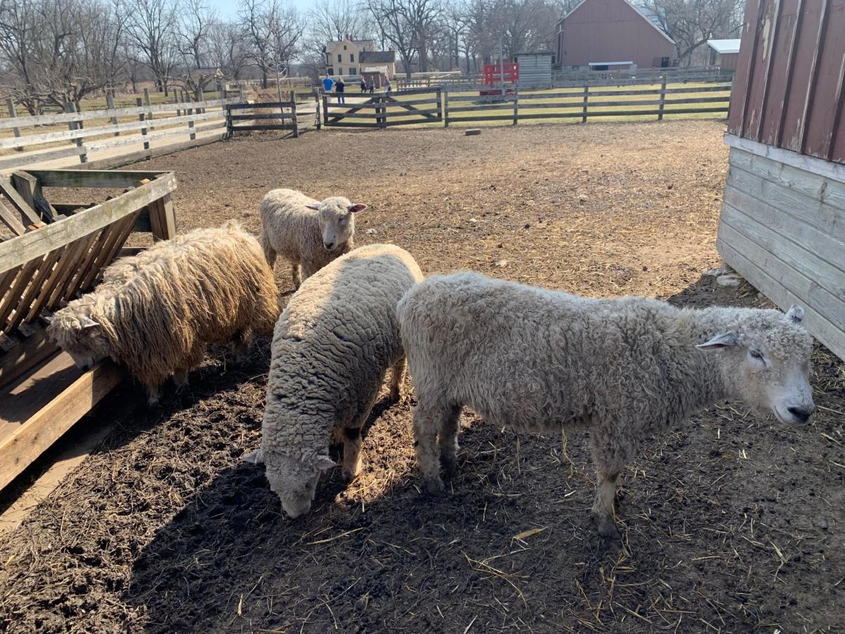 Kline Creek Farm
