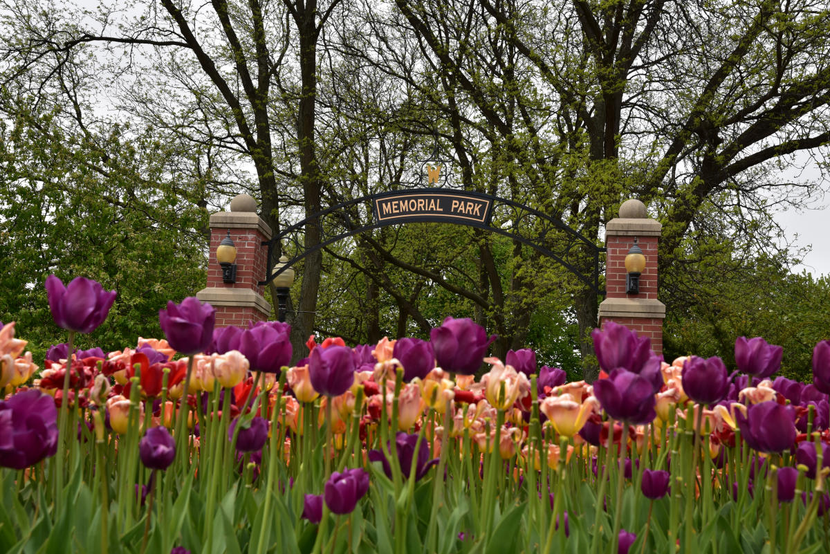 Wheaton Park District