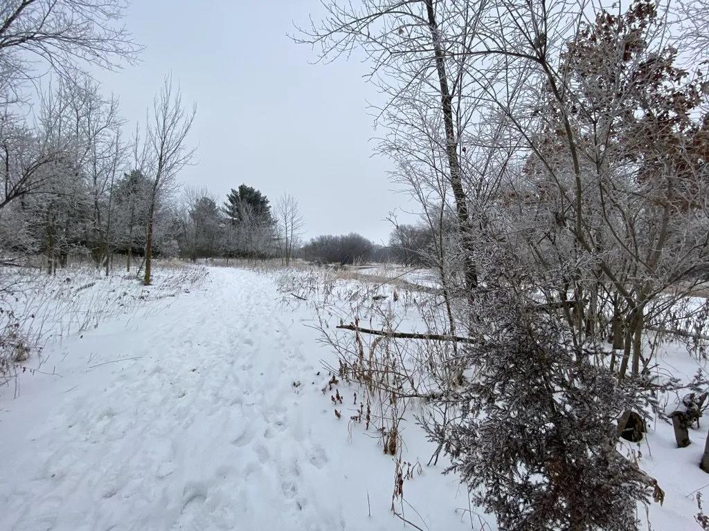 Colfax Red Cedar Preserve and Recreation Area | Colfax, WI 54730