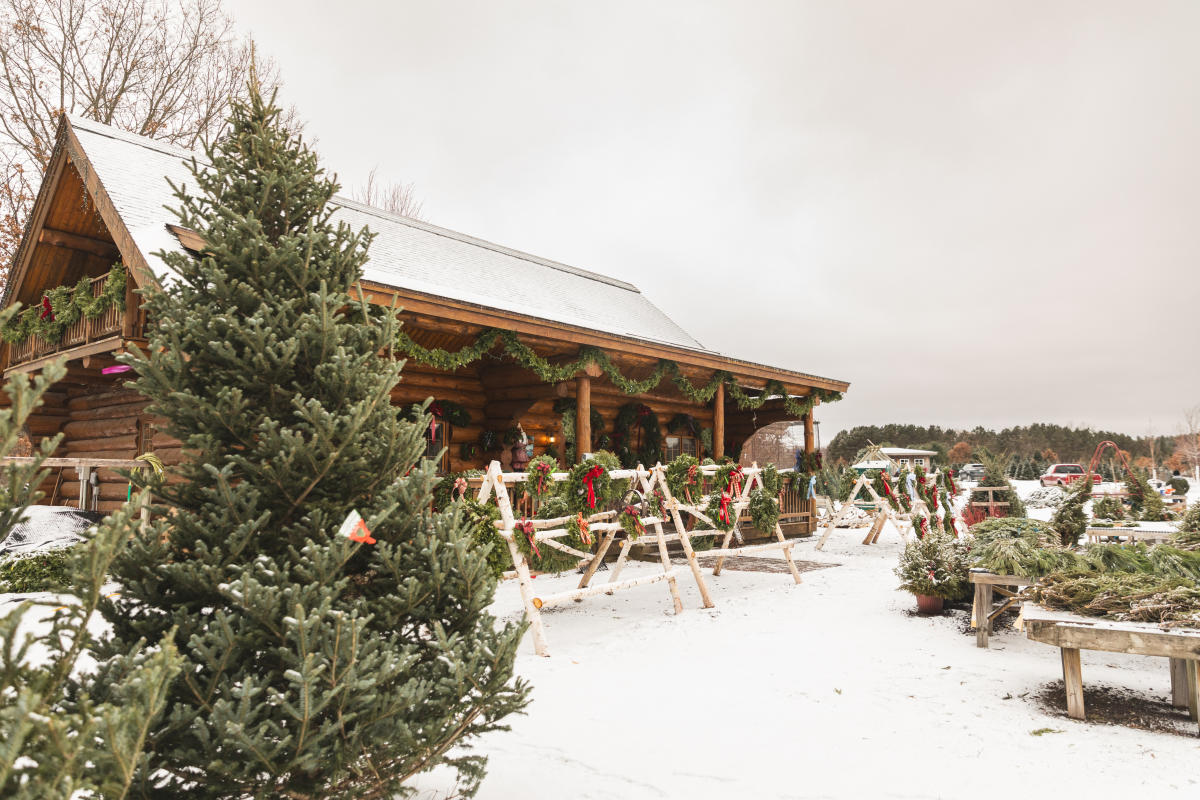 Lowes Creek Tree Farm | Eleva, WI 54738