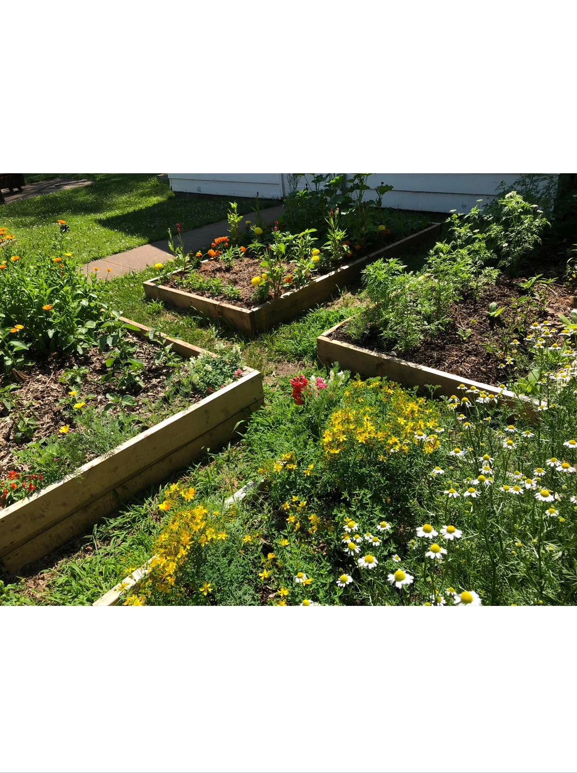 River Prairie Apothecary | Eau Claire, WI 54701