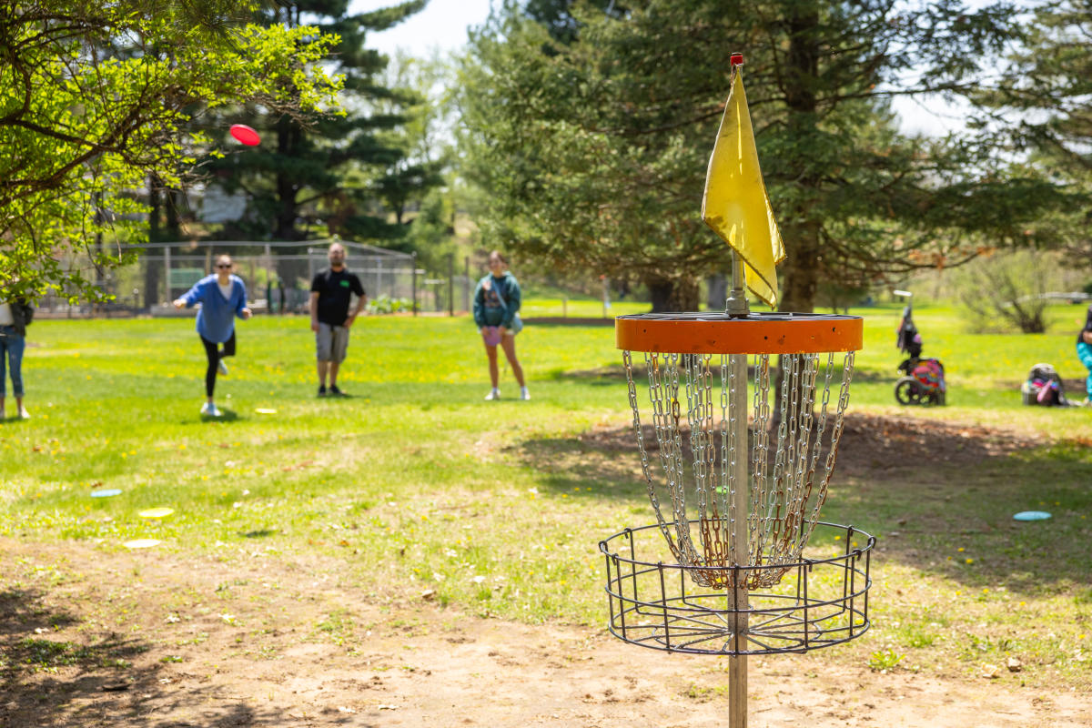 cool disk golf