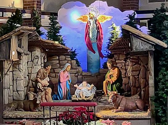 Greig Steiner Gallery