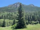 Estes Park Events Complex