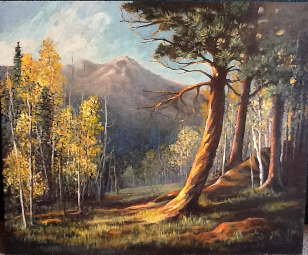 Greig Steiner Gallery