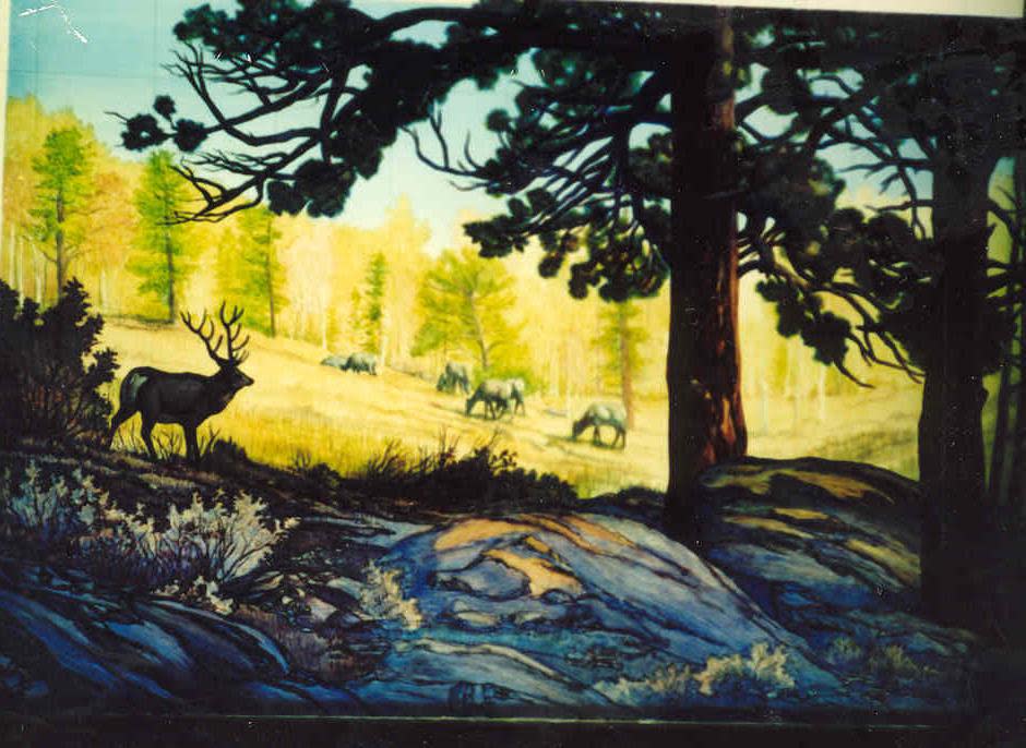 Greig Steiner Gallery