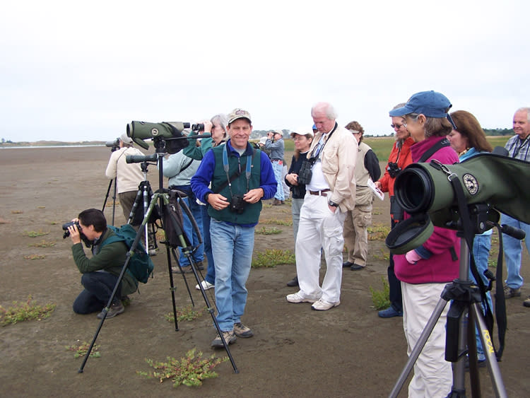 Birding and Nature Outings