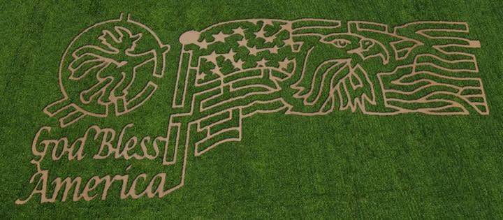 wonka corn maze