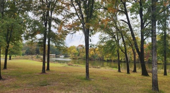 Springhill Park Lock & Dam 13