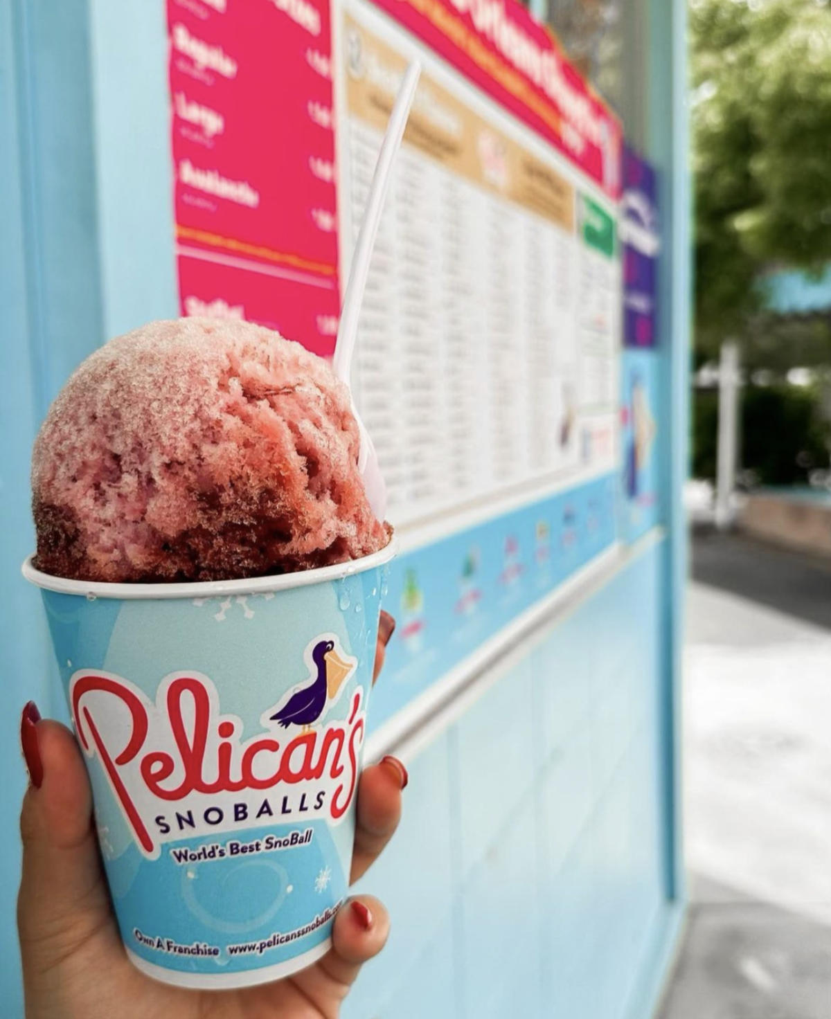 Pelicans Snoballs Clovis