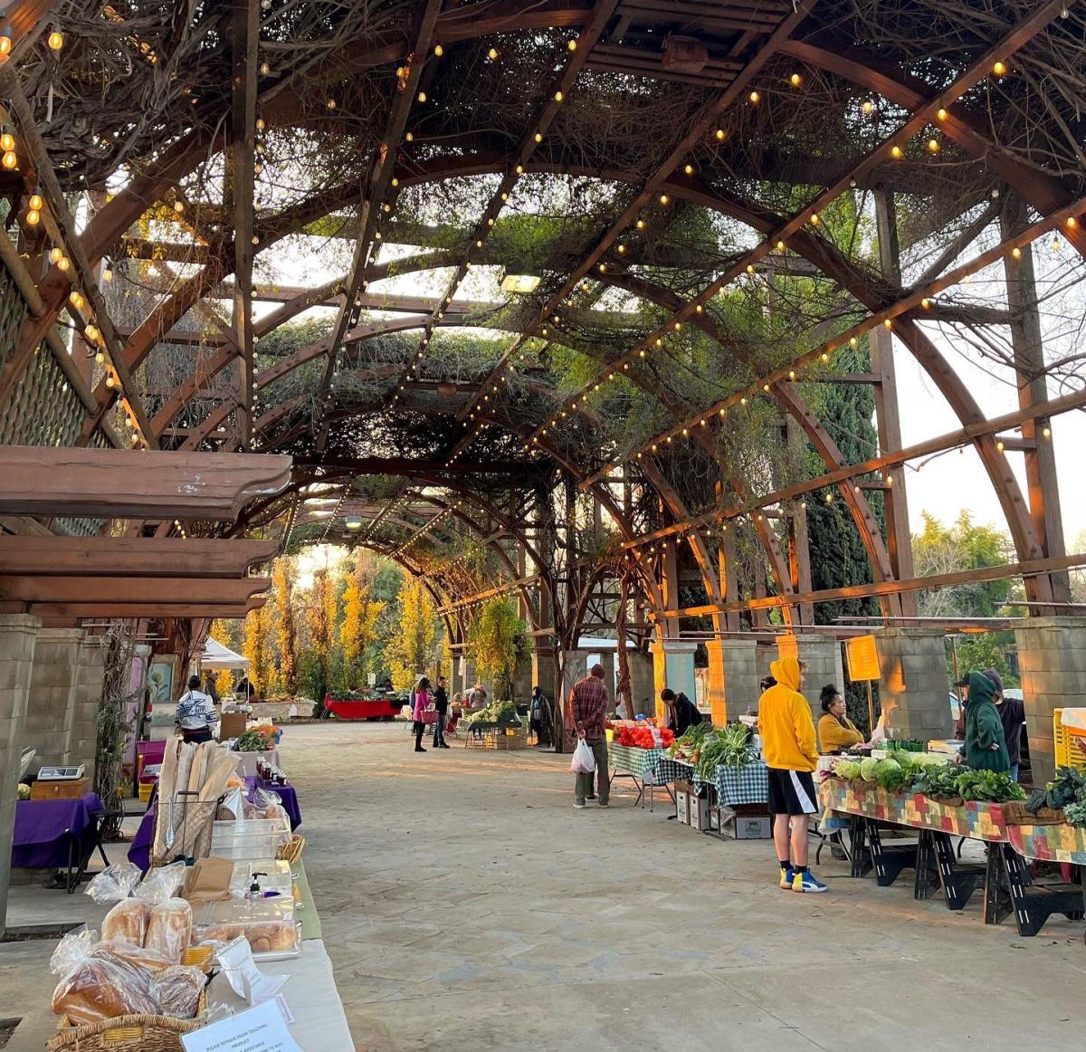 Vineyard Farmer's Market