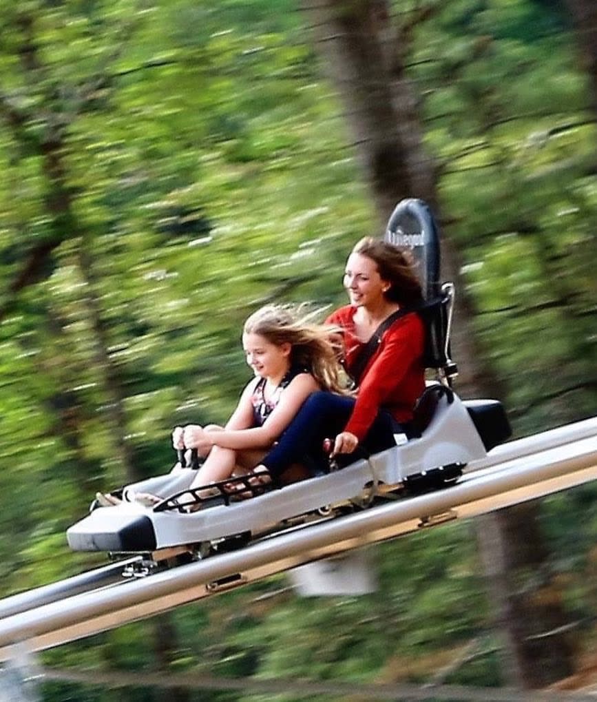 alpine roller coaster tn