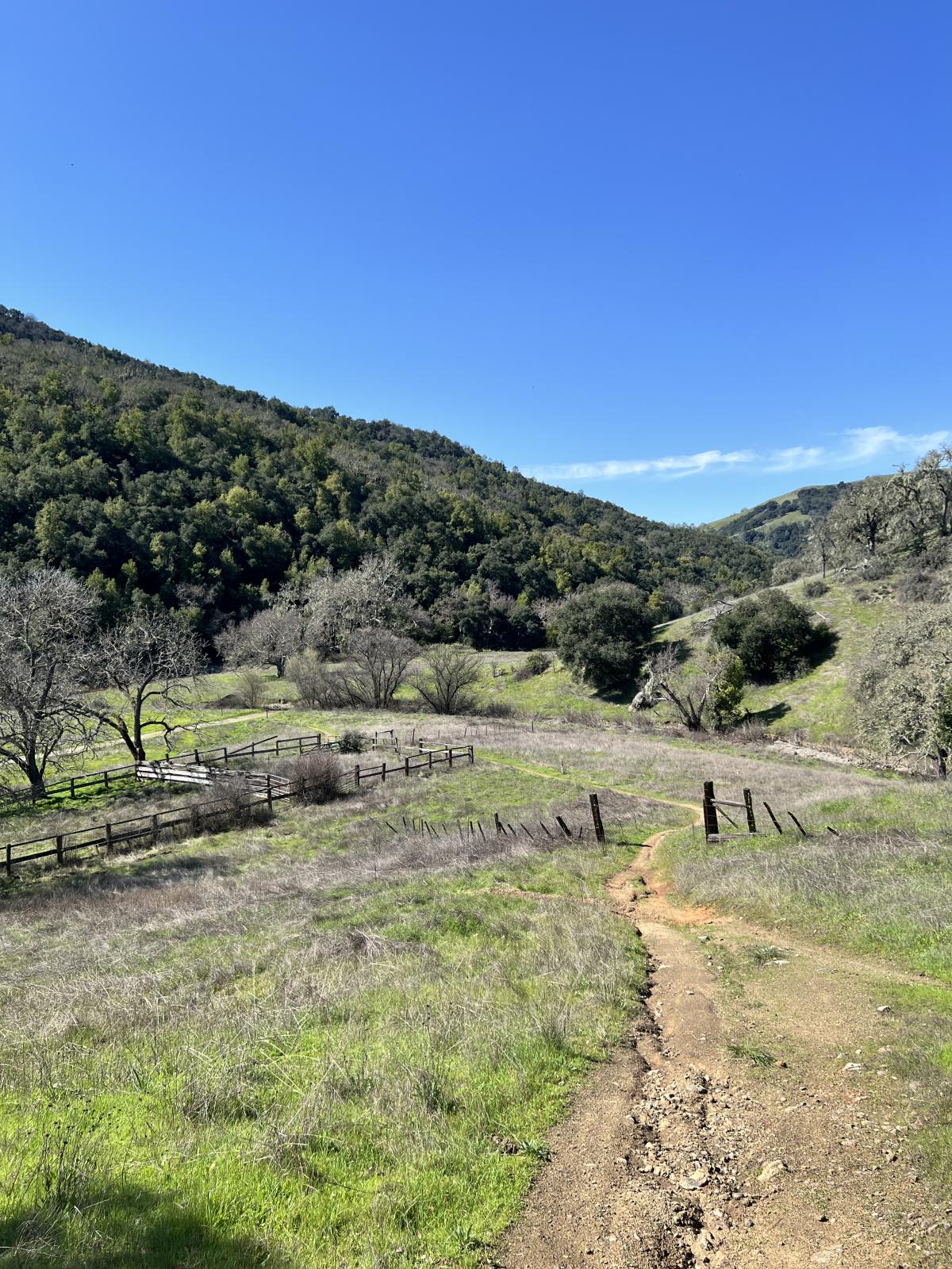 Henry W. Coe State Park