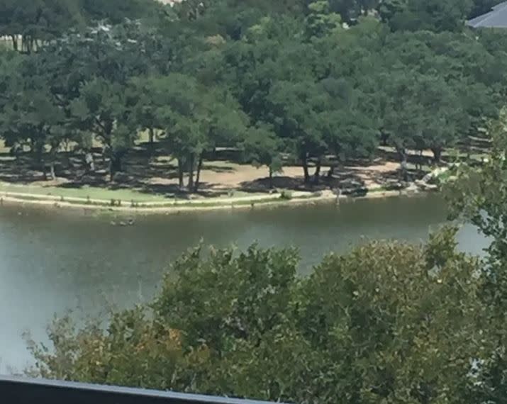 The Tree Top Getaway