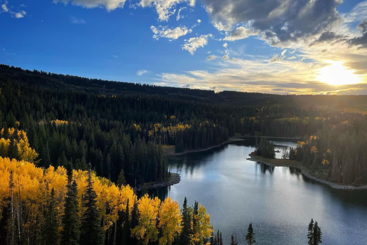 Mesa Lakes Area