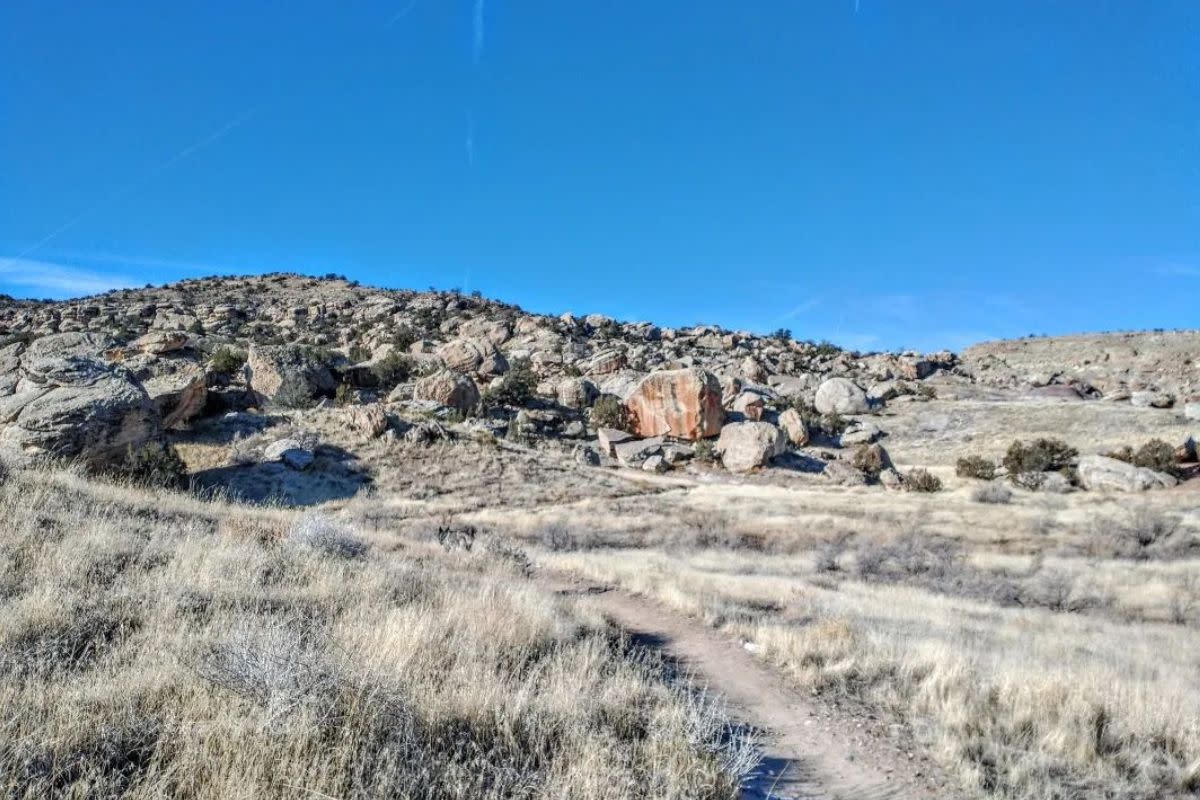 Holey Bucket Trail - Lunch Loop Trail System