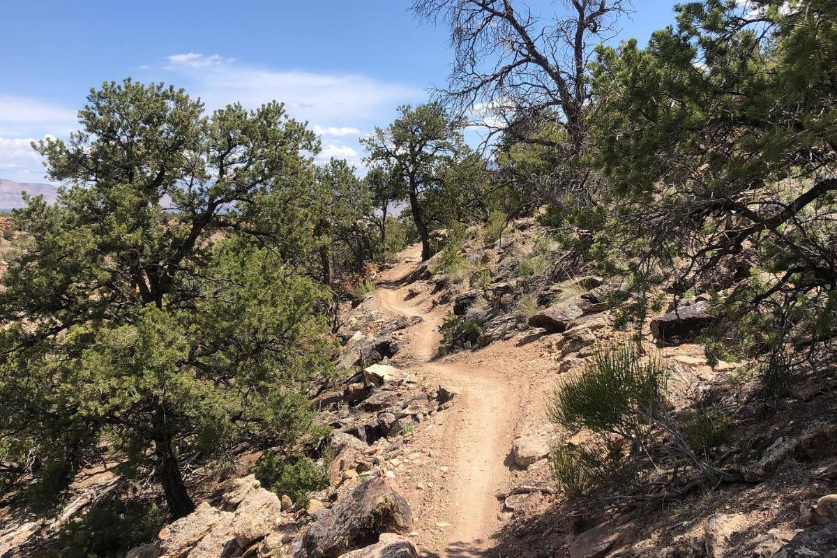 Windmill Loop Trail - Bangs Canyon