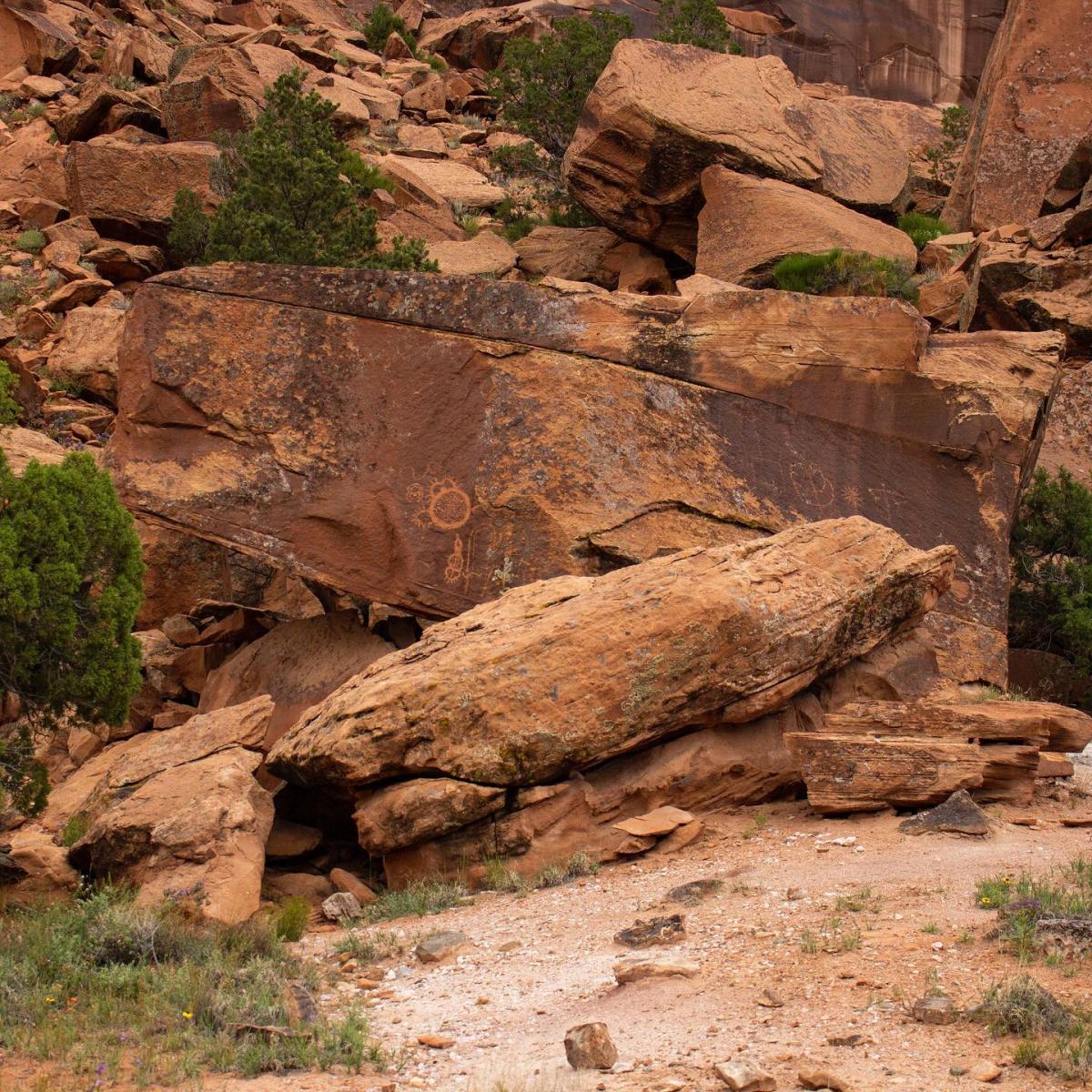 Big Dominguez Canyon Trail