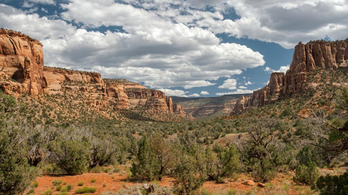 Devil's Canyon Trail in McInnis Canyons