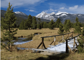 Little Pines Photos | Grand Lake, CO