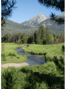 Little Pines Photos | Grand Lake, CO