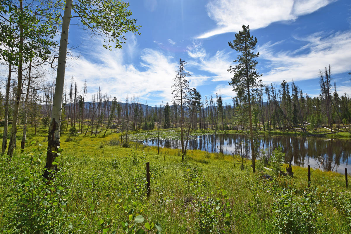 Lilly Pond House | Grand Lake, CO