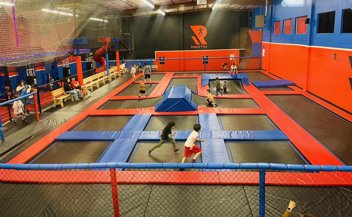 Rogue Play Trampoline and Ninja Center