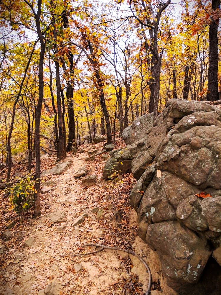 Turkey mountain store