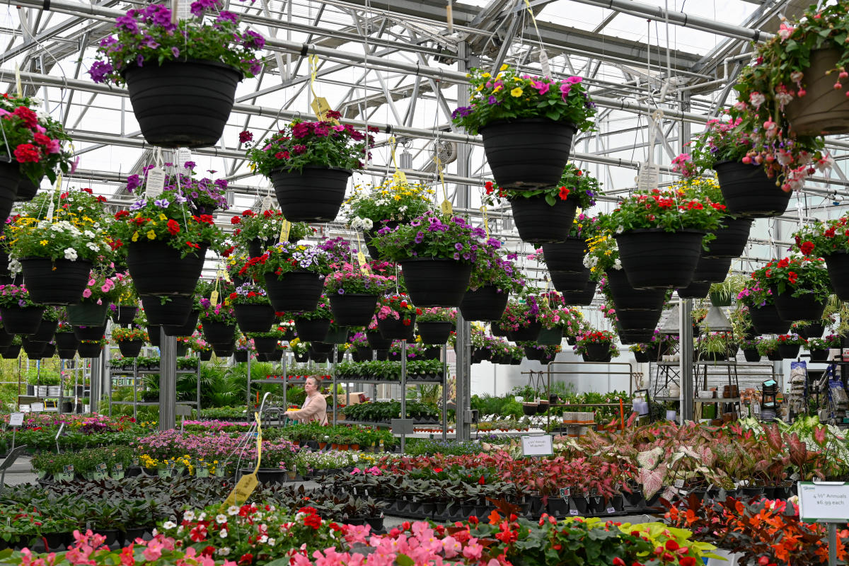 Flower Nursery Carmel Indiana | Best Flower Site