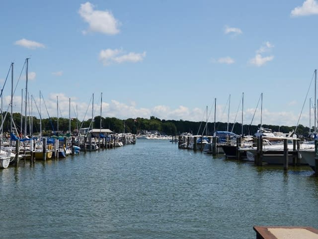 Yacht Basin Marina