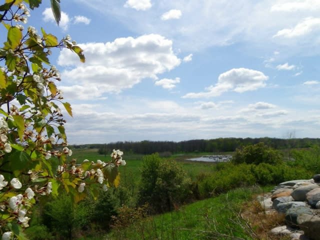 Upper Macatawa Natural Area