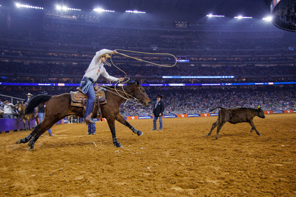 Houston Livestock Show and Rodeo