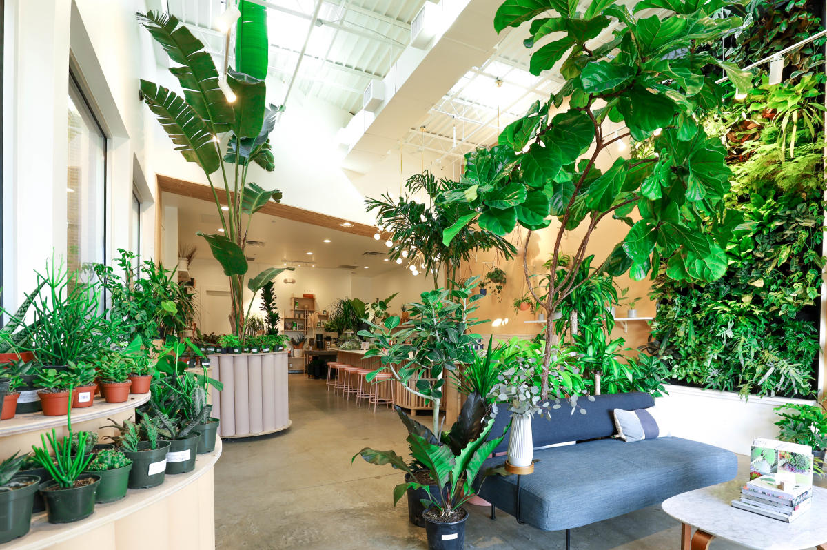 The Flora Culture | Shopping in Houston, TX