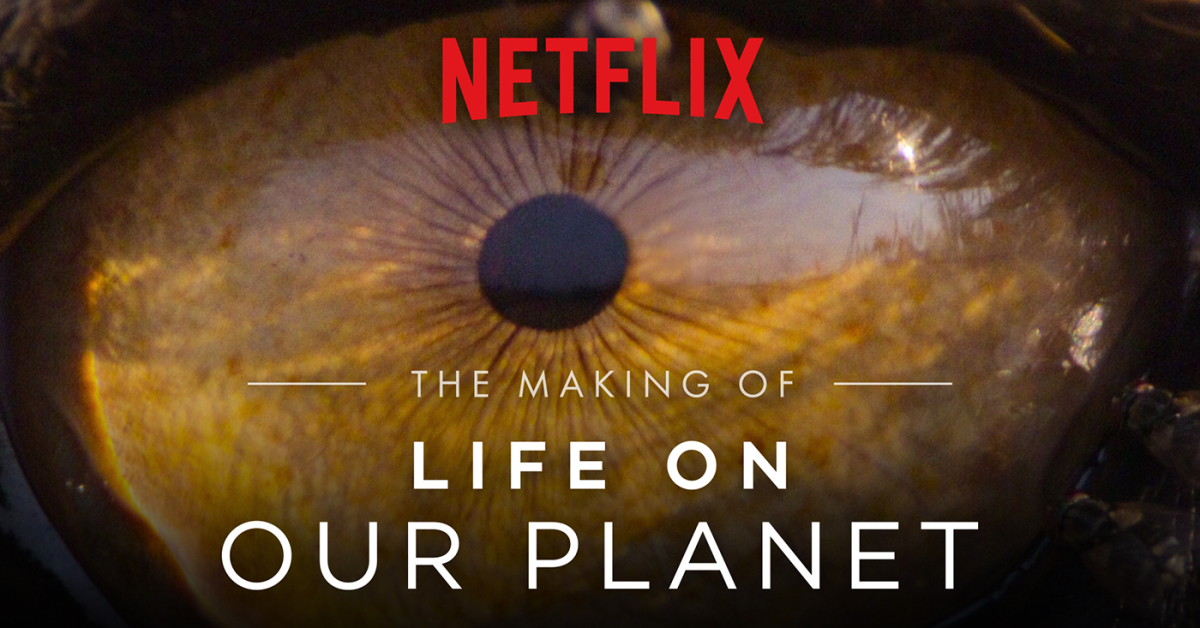 planets netflix