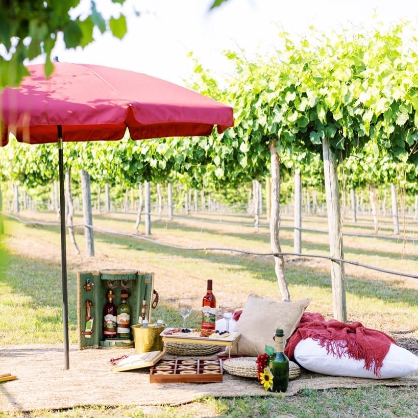 Picnics at Gregory Vineyards