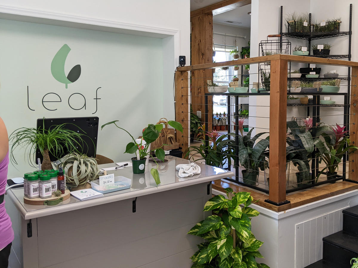 Leaf Plant Shop