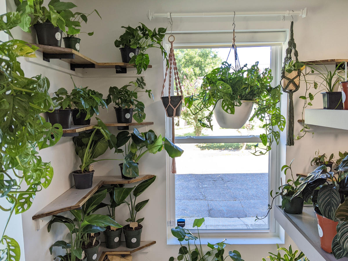 Leaf Plant Shop