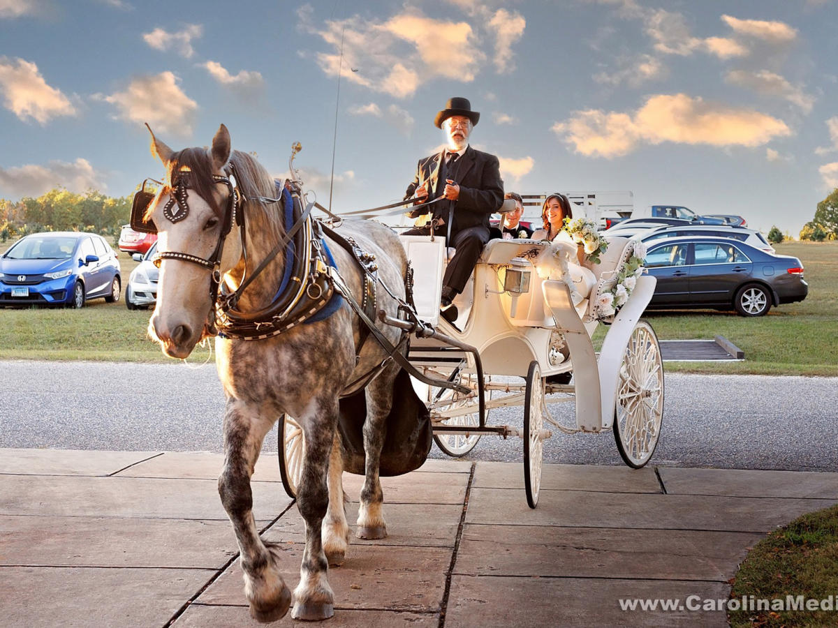 Southern Charm Carriages
