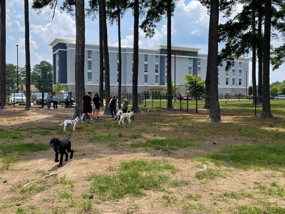 Benson Dog Park